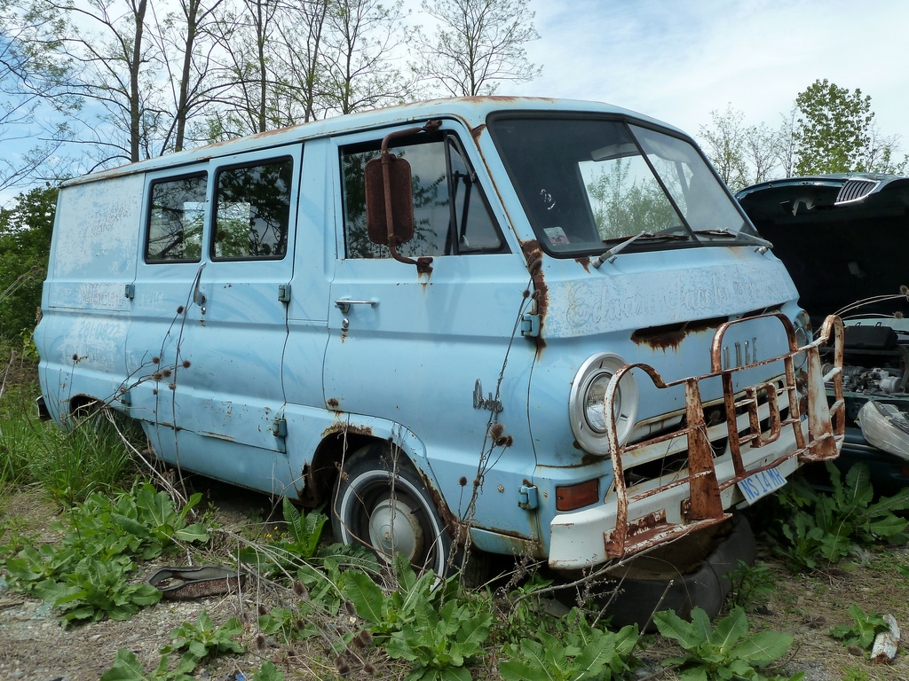 Lemons | Ripple Effect Disciplines